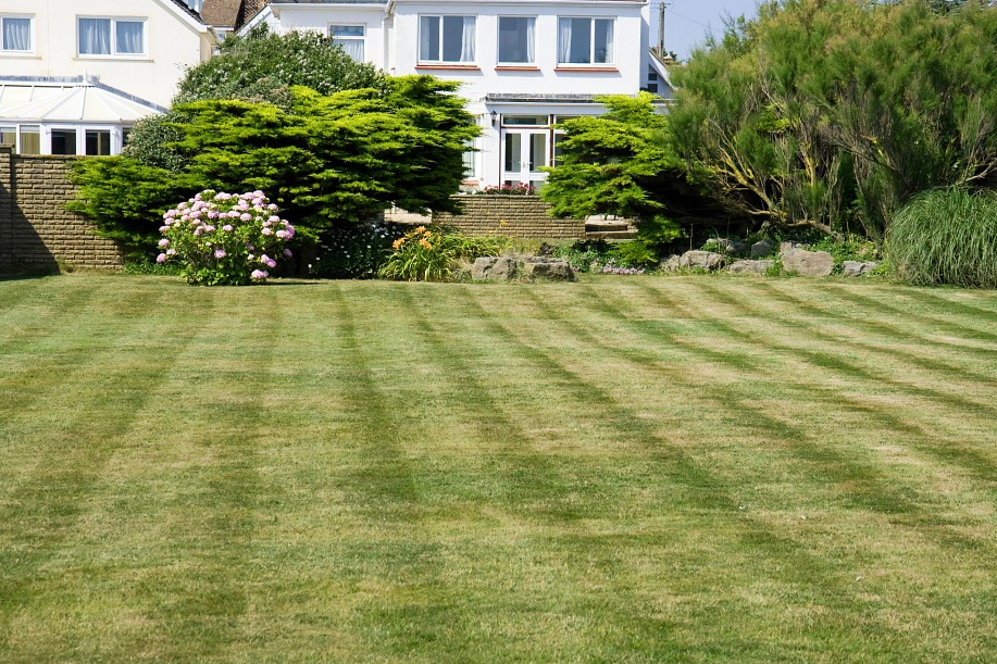 Pravilna košnja trave in novo položene travne ruše